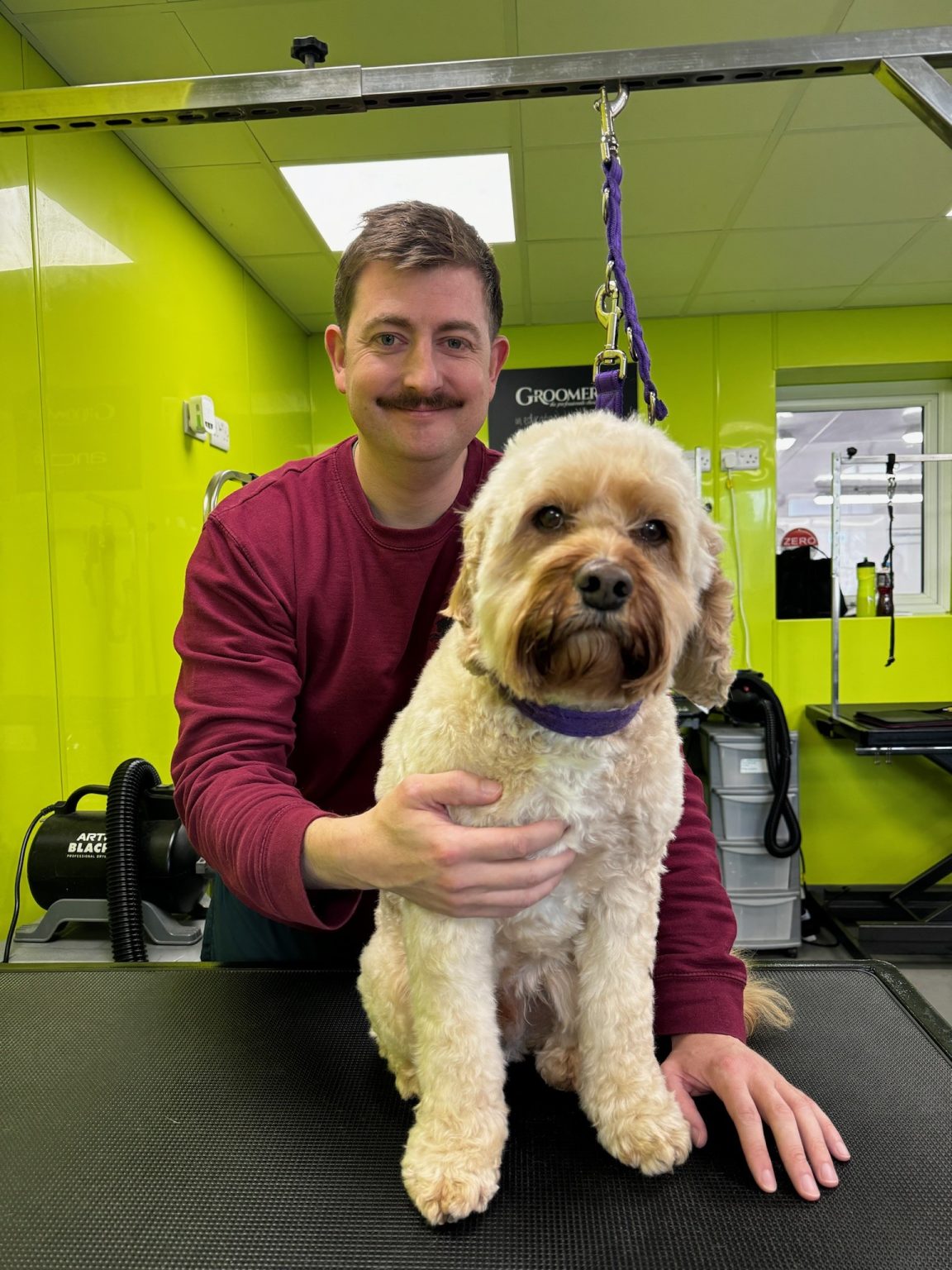 Dog Grooming - Four Paws Groom School