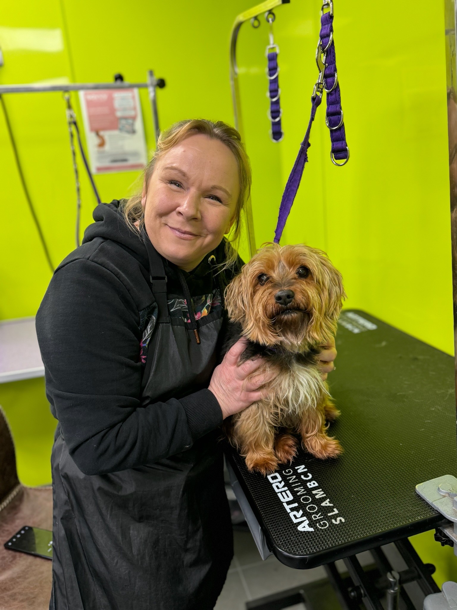 A Guide to a Career in Dog Grooming - Four Paws Groom School